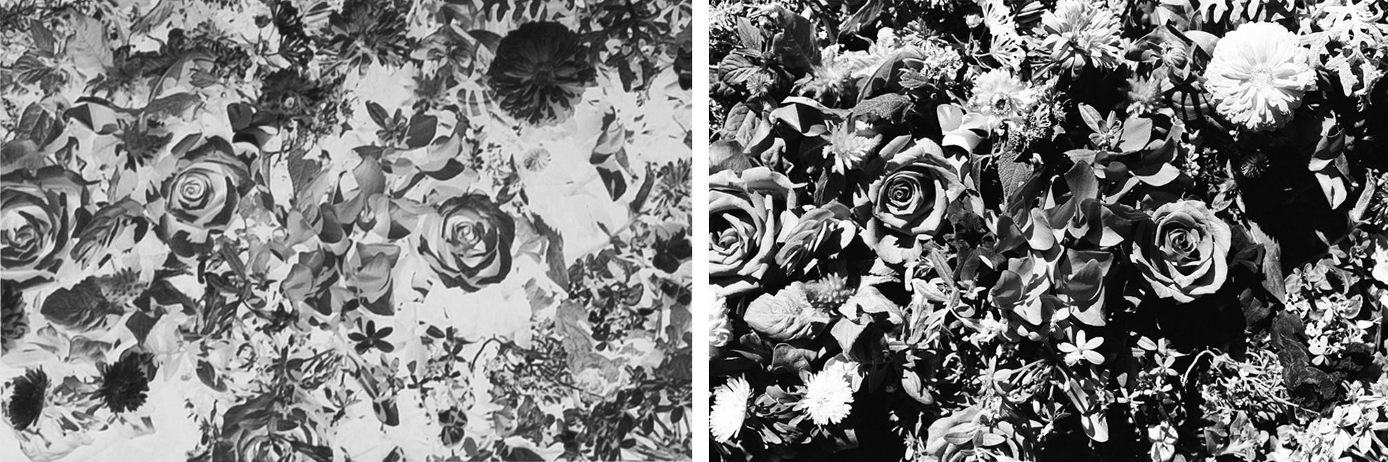 Reading your film exposure - North Coast Photographic Services