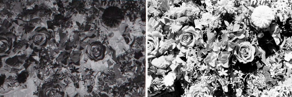 Reading your film exposure - The Great American Photo Lab