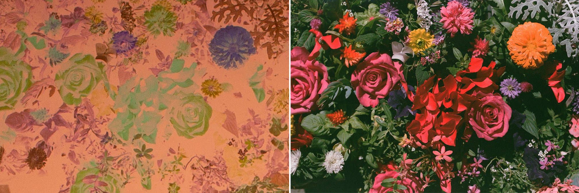 Reading your film exposure - North Coast Photographic Services